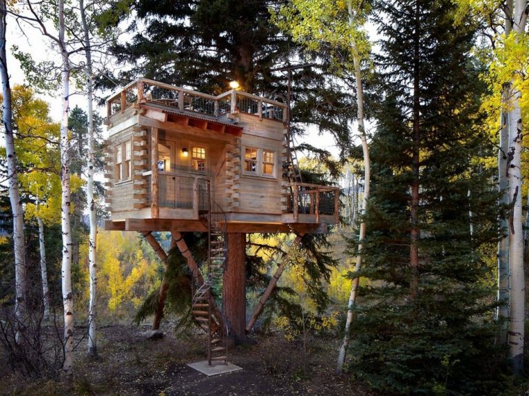 Neatly Nostalgic: Real life tree house is fun, modern and very ...